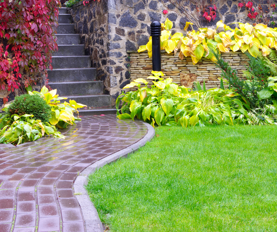 Proper Plant Placement - Anything Groes | Plantscaping in Louisville, KY